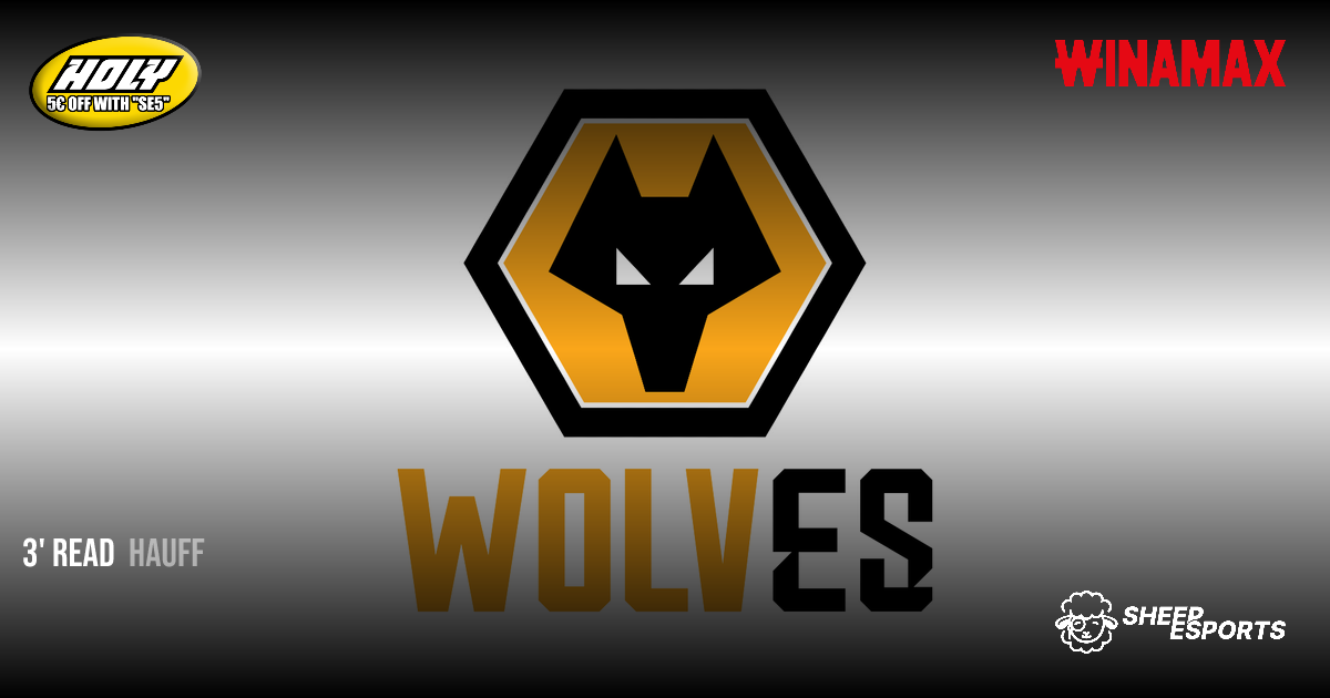 Sheep Esports - Wolves Esports aim to construct ~ €23 million home ...